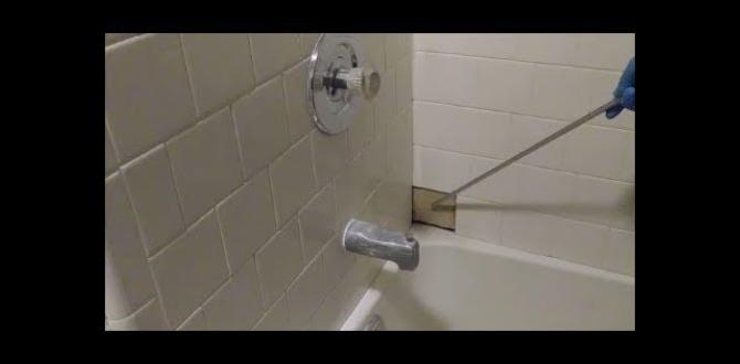 Easy Ways To Fix Chipped Bathroom Tiles At Home - Bathroom Wiki