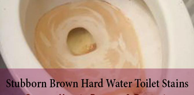 Effective Ways To Remove Brown Stains From Toilets - Bathroom Wiki