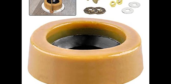 Easy Toilet Wax Ring Replacement: Step-By-Step Guide - Bathroom Wiki
