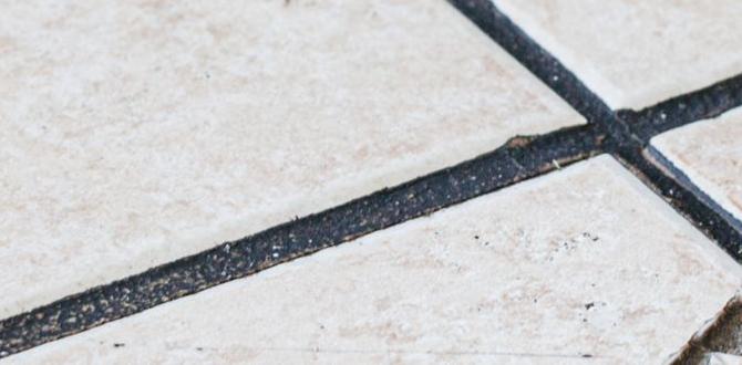 Easy Ways To Fix Chipped Bathroom Tiles At Home - Bathroom Wiki
