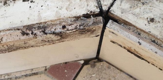 How To Repair Cracked Shower Base: Step-By-Step Guide - Bathroom Wiki