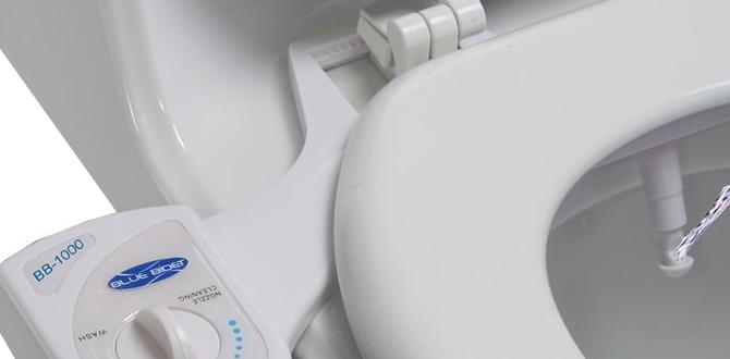 Bidet Explained In Plumbing: Your Ultimate Guide - Bathroom Wiki